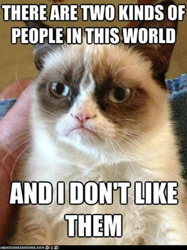 21 Best Grumpy Cat Memes And Funny Quotes About Love And Life Yourtango